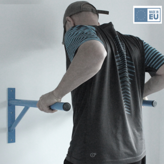 Dip Bars – IRON CLAN